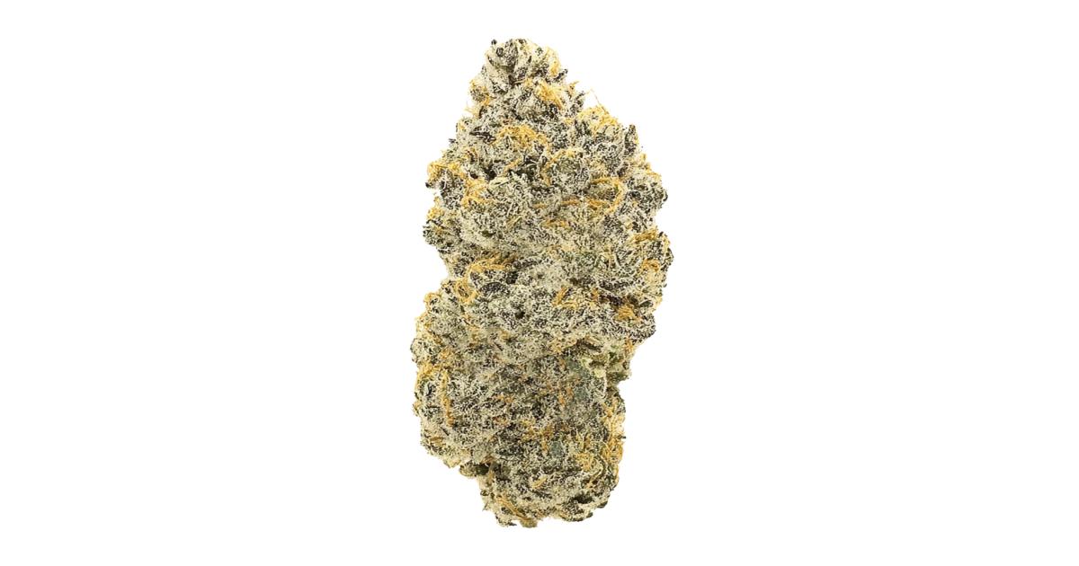 Citral Flo BX1 Cannabis Strain Information - GrowDiaries
