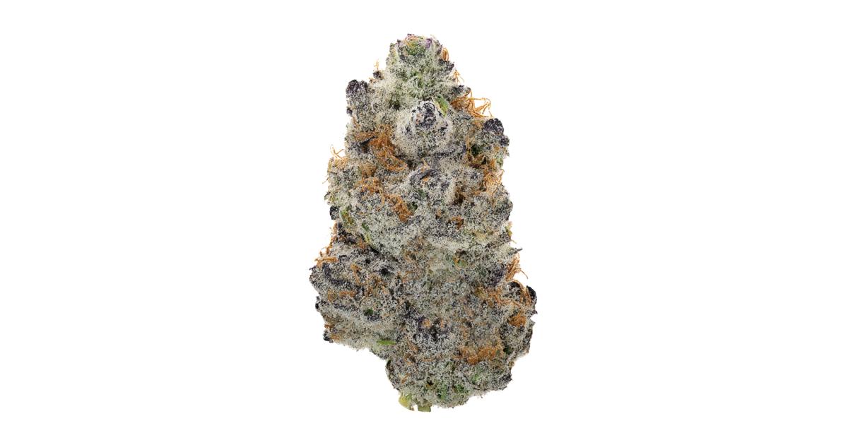 Gelato Cannabis Strain Information - GrowDiaries