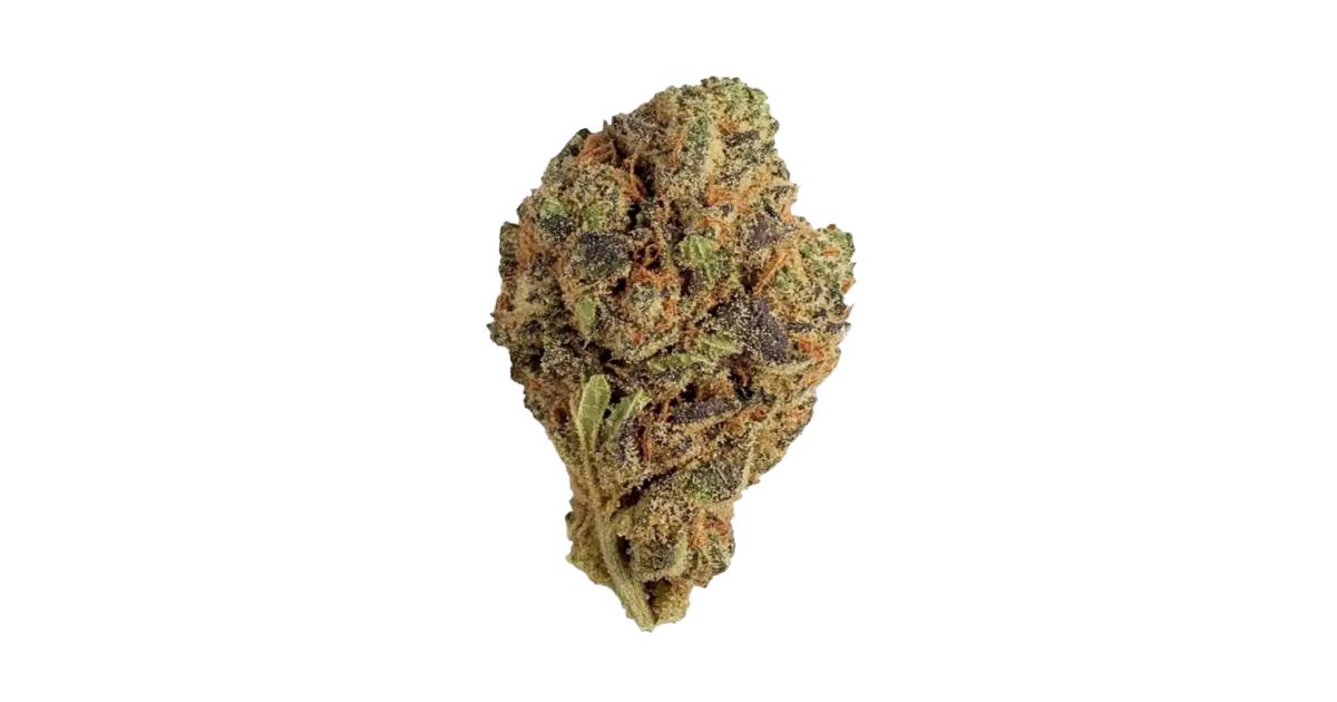 Gelato Cannabis Strain Information - GrowDiaries