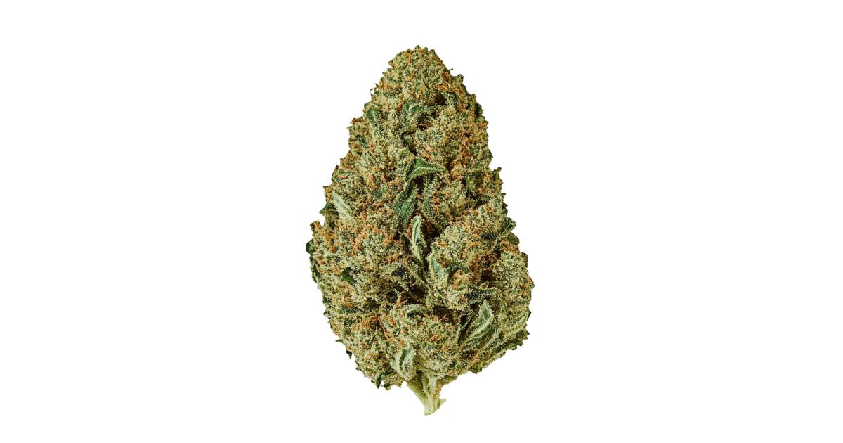 Sunshine Cannabis Strain Information - GrowDiaries