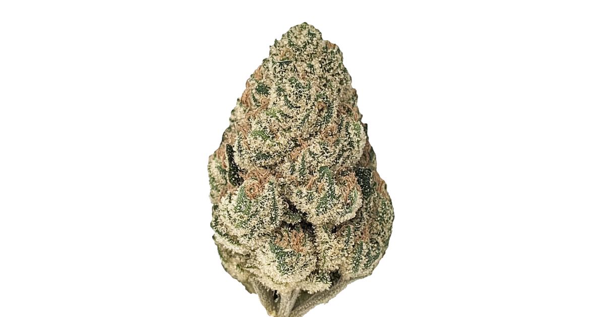 Banana Cake Cannabis Strain Products - GrowDiaries