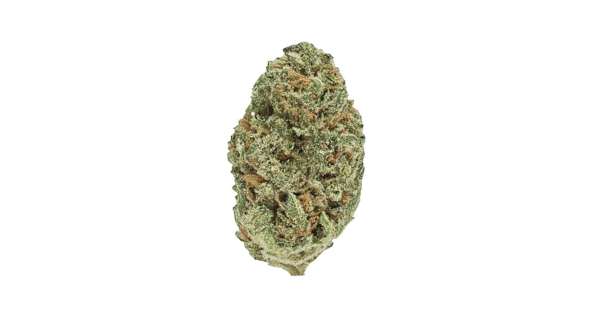 Area 41 Cannabis Strain Products - GrowDiaries