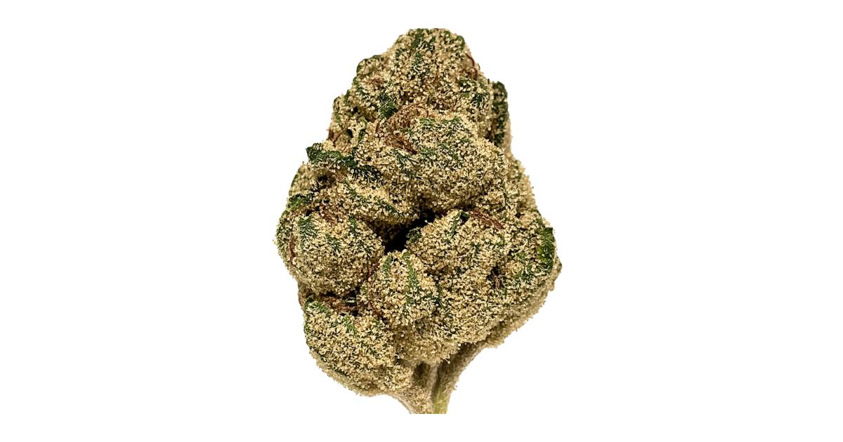 Mint Chocolate Chip Cannabis Strain Products - GrowDiaries