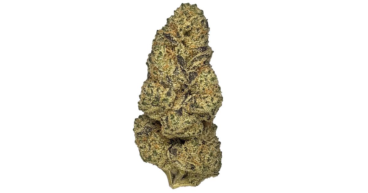 Bodhi's Charms Cannabis Strain Information - GrowDiaries