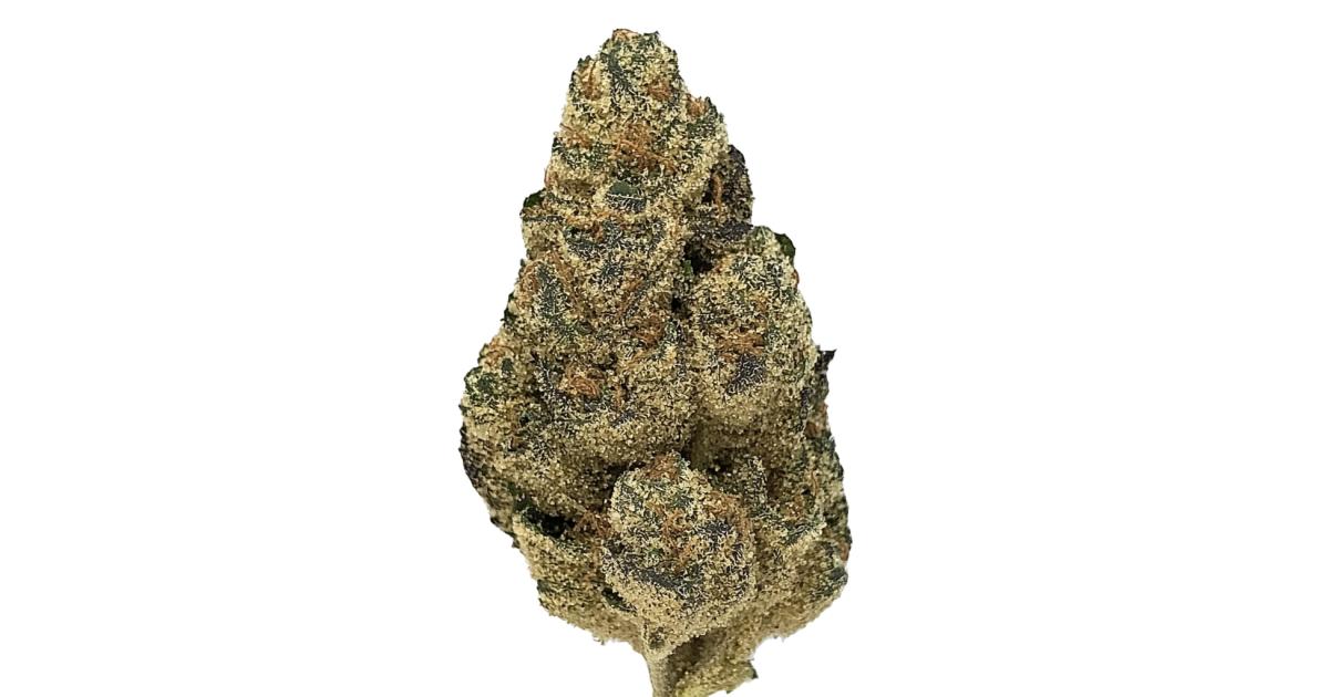 Blueberry Pie Cannabis Strain Information - GrowDiaries