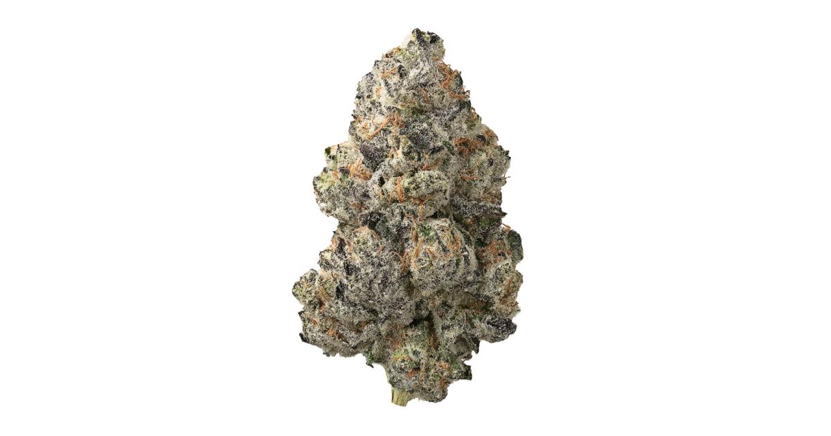 Blooberry Z Cannabis Strain Information - GrowDiaries
