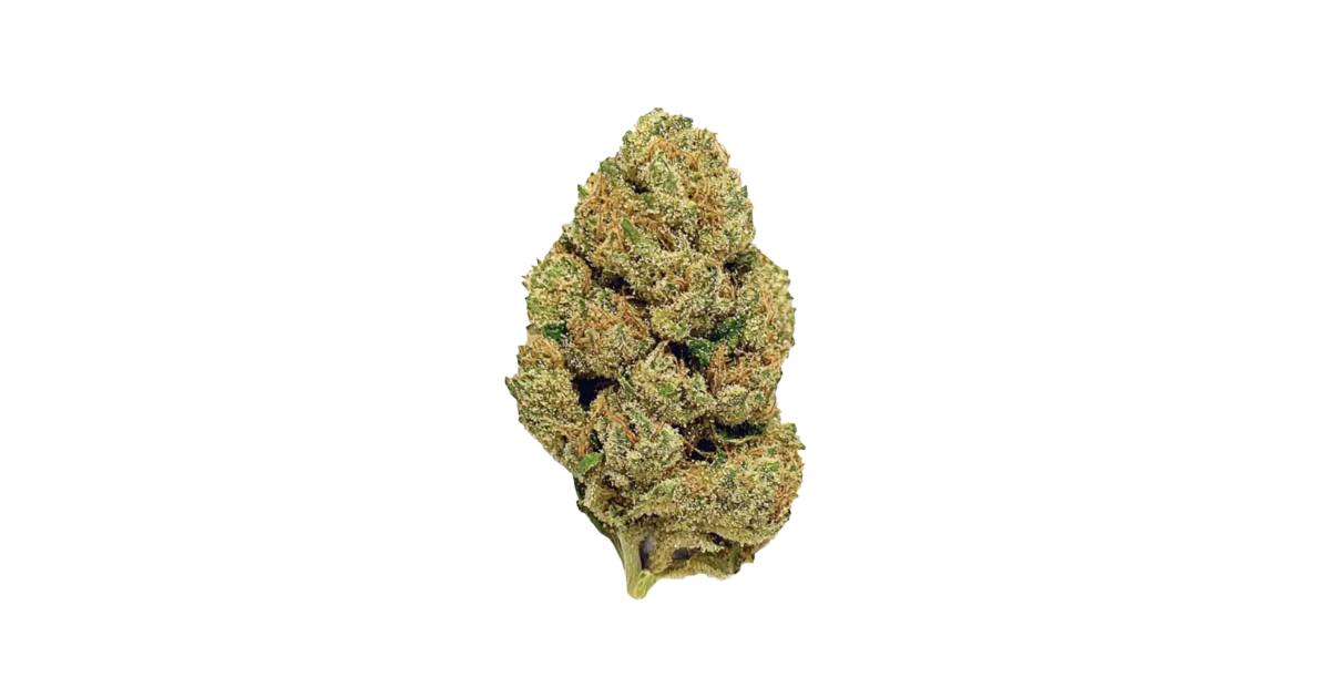 Zangria Cannabis Strain Information - GrowDiaries