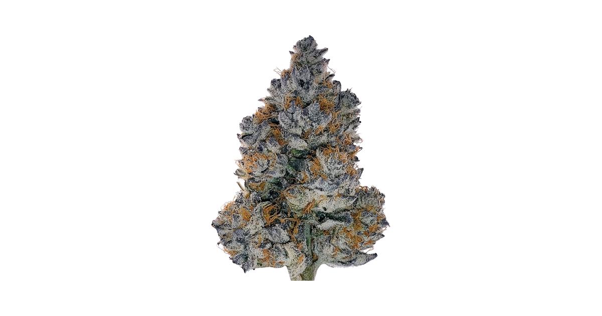Miracle Candy Cannabis Strain Information - GrowDiaries