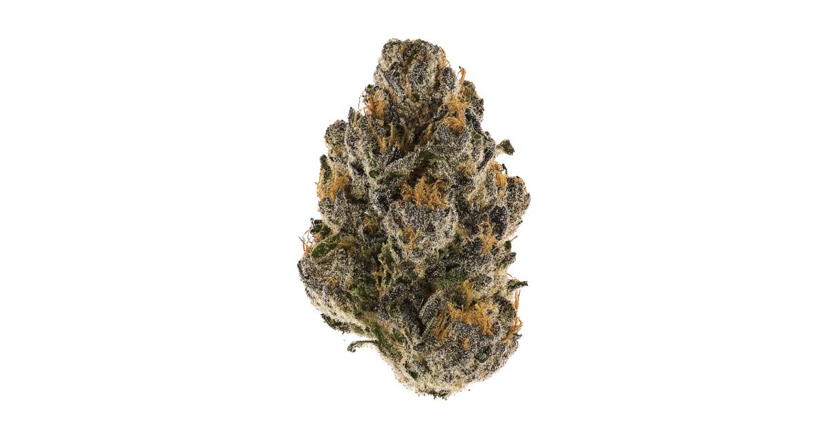 Cookies Gelato Cannabis Strain Information - GrowDiaries