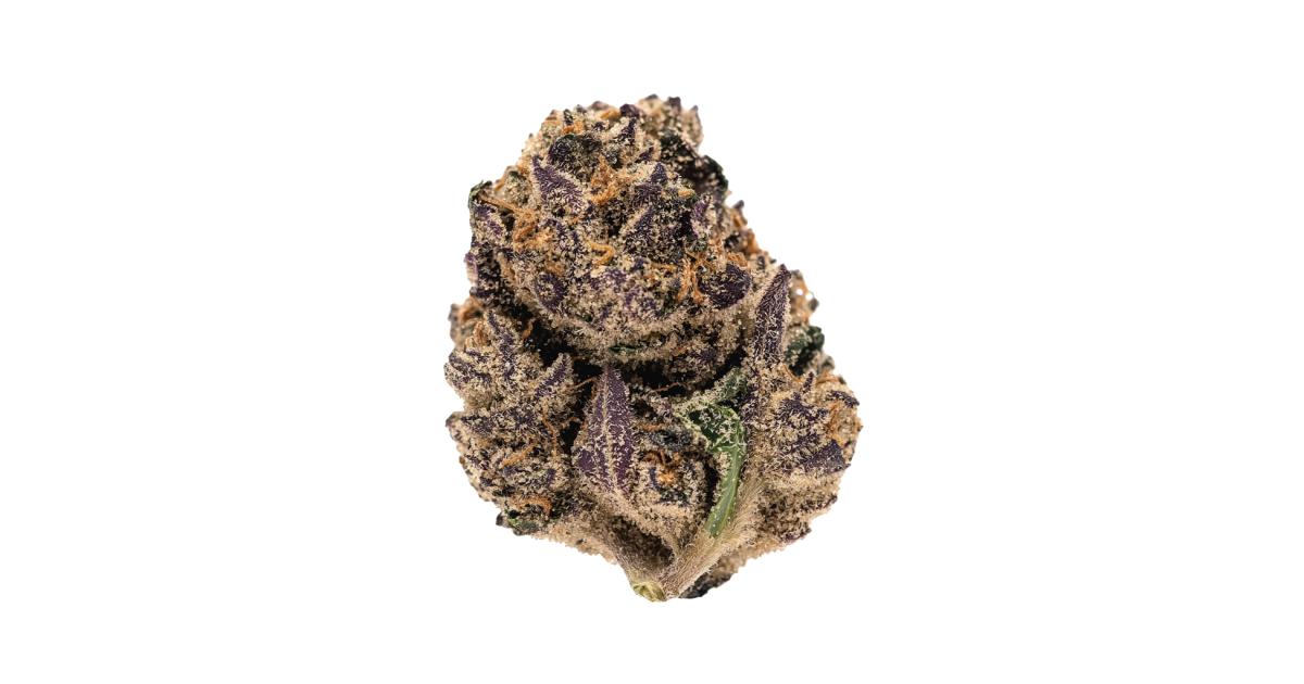 Coconut Horchata Cannabis Strain Information - GrowDiaries