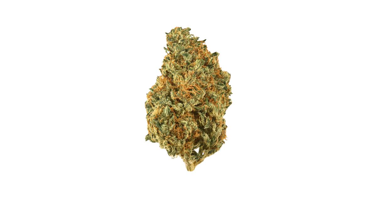 Jupiter Jack Cannabis Strain Information - GrowDiaries
