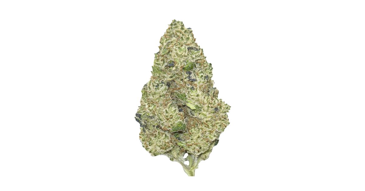 Strawberry Banana Auto Cannabis Strain Information - GrowDiaries