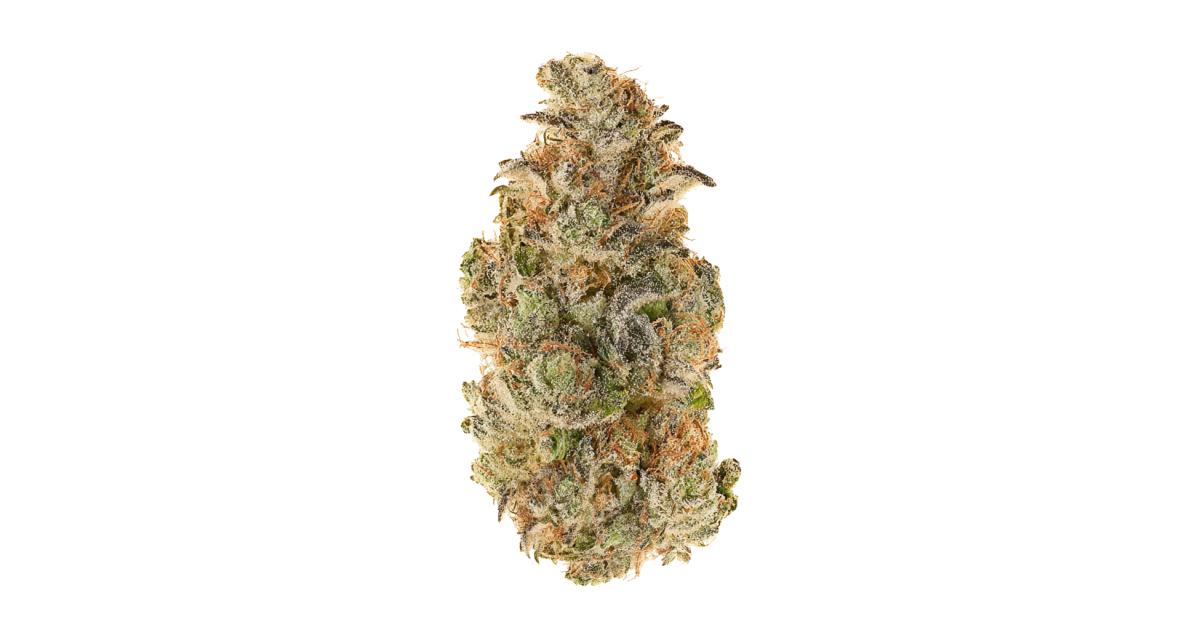 Roxanne Cannabis Strain Information - GrowDiaries