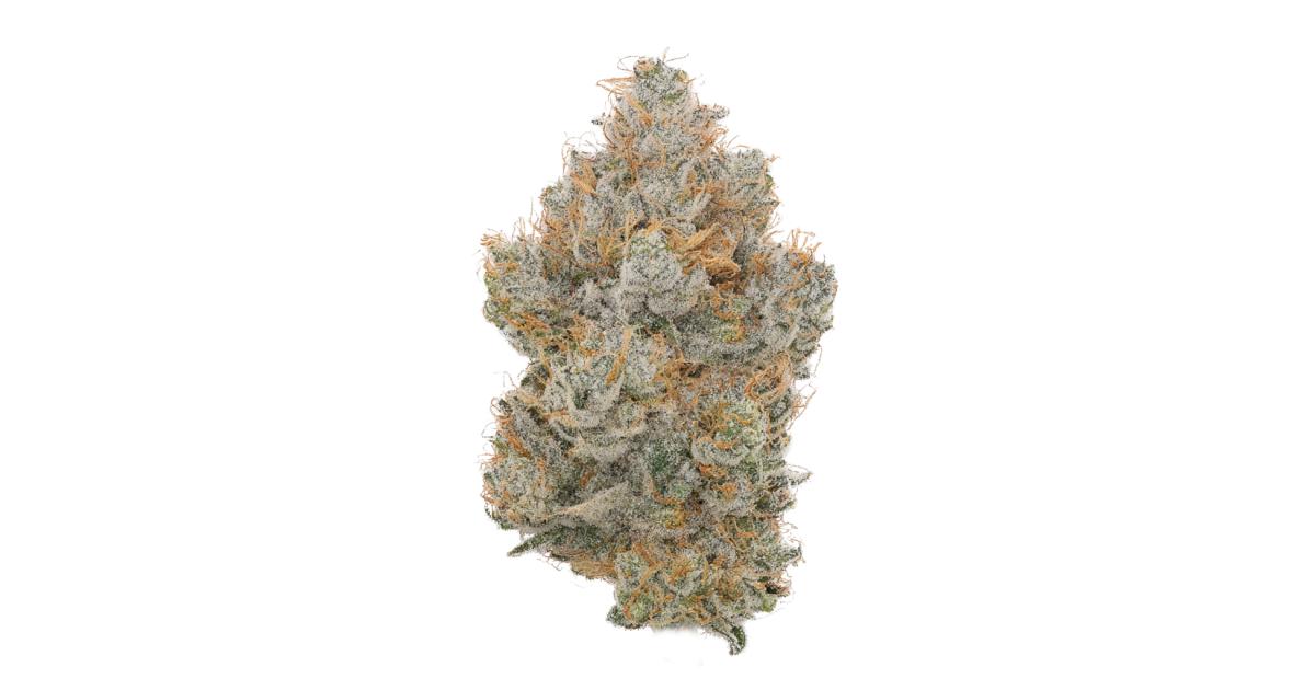 Orange Soda Cannabis Strain Information - GrowDiaries