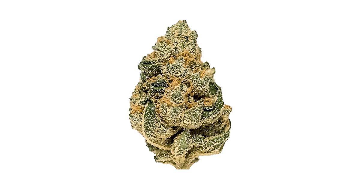 Tropical Slushie Cannabis Strain Information - GrowDiaries