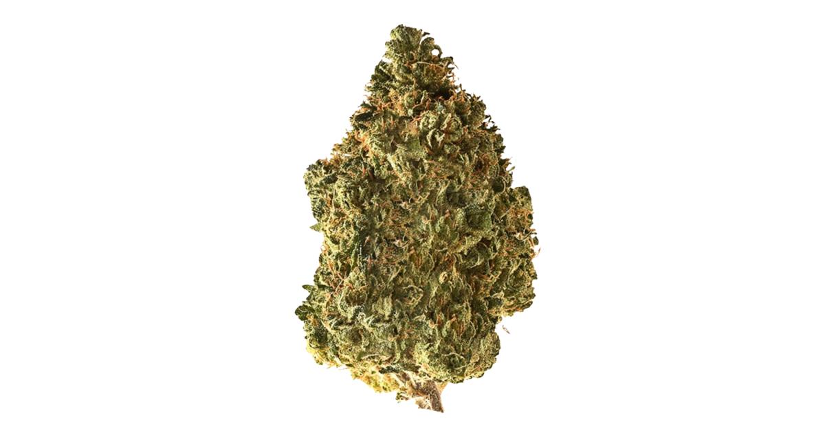 SFV OG Kush Cannabis Strain Information - GrowDiaries