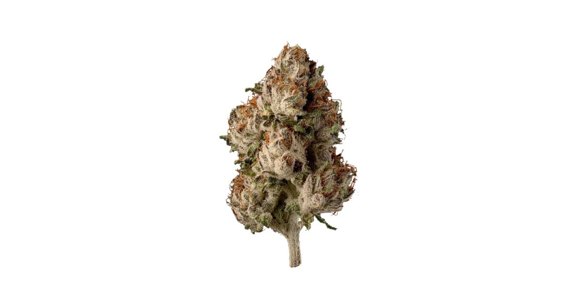 Zebra Ztripez Cannabis Strain Information - GrowDiaries