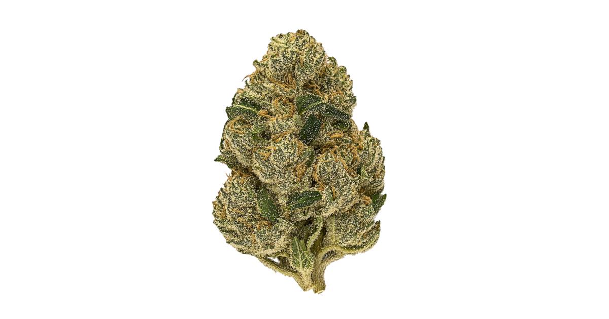 Strawberry Truffle Cannabis Strain Information - GrowDiaries