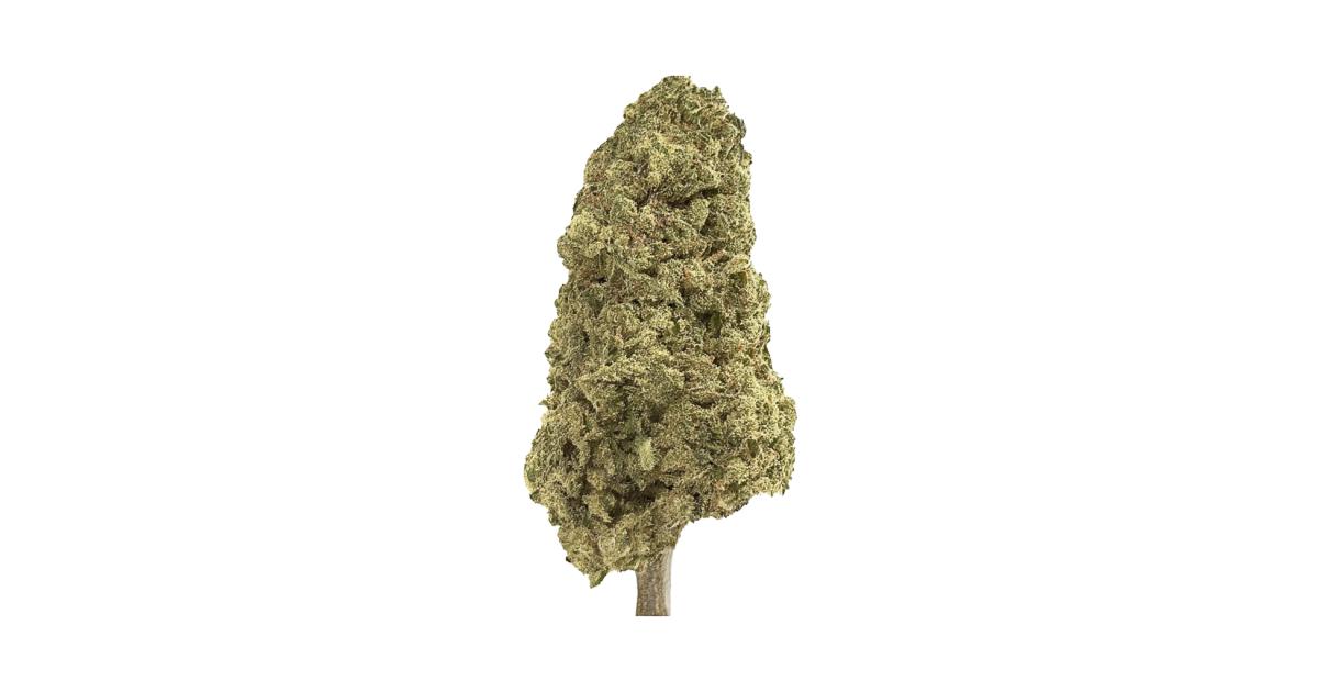 Zero Gravity Cannabis Strain Information - GrowDiaries