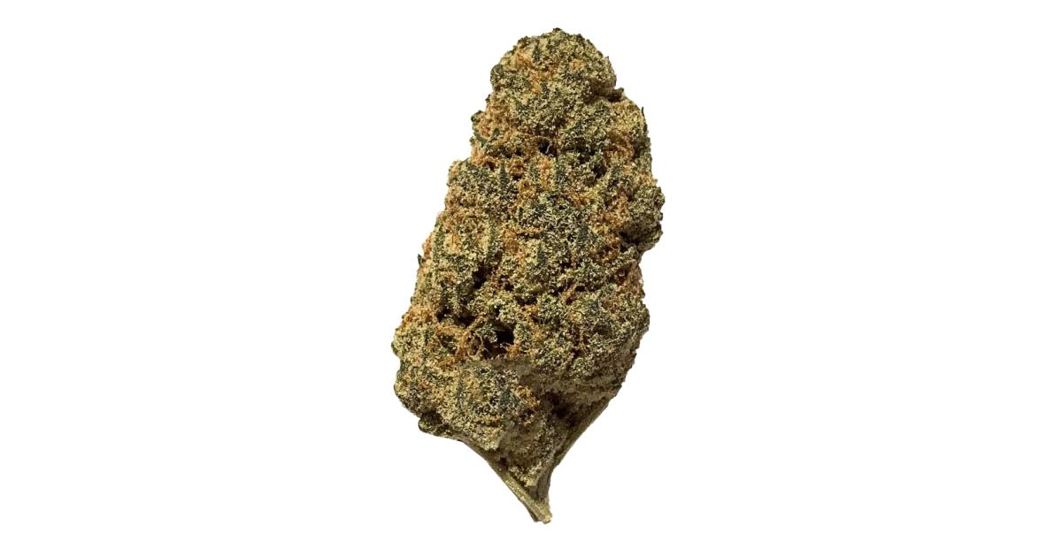 Phoenix Lights Cannabis Strain Information - GrowDiaries