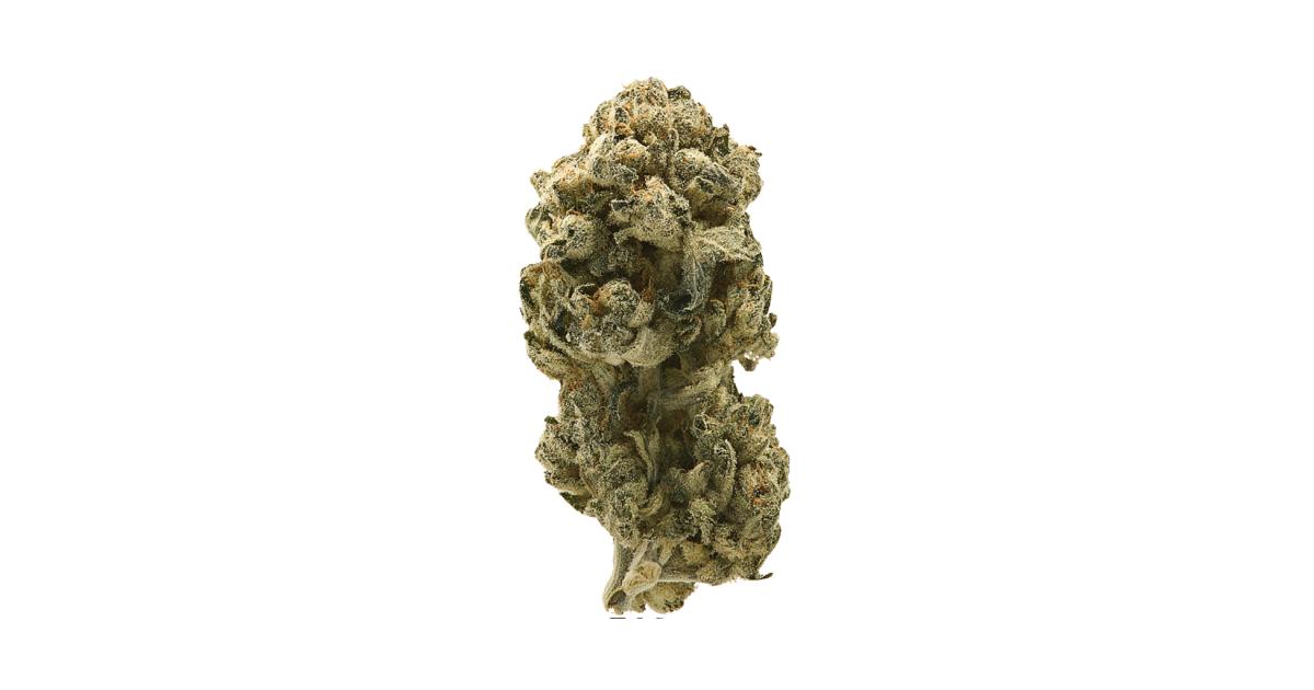 Puffinz Cannabis Strain Information - GrowDiaries