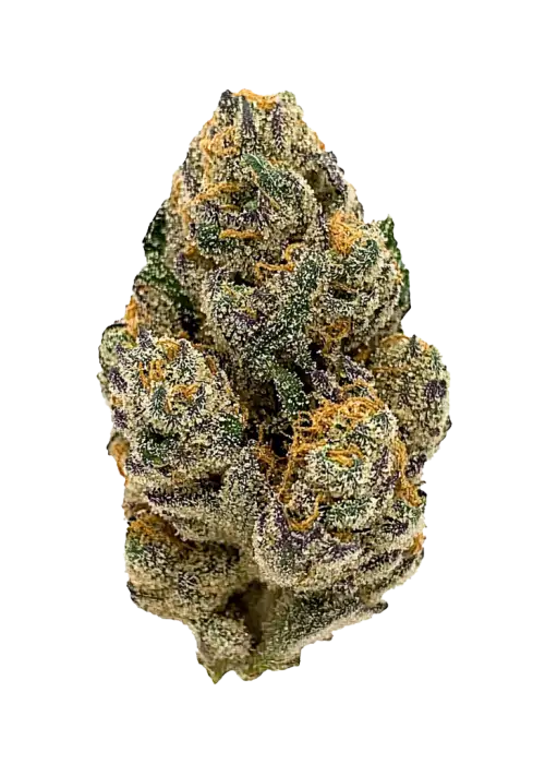 White Runtz Cannabis Strain Information GrowDiaries