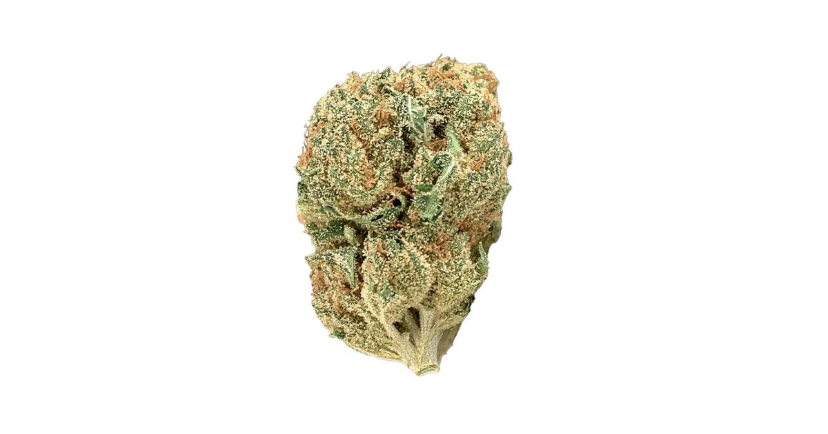 Wedding Cheesecake Auto Cannabis Strain Information - GrowDiaries
