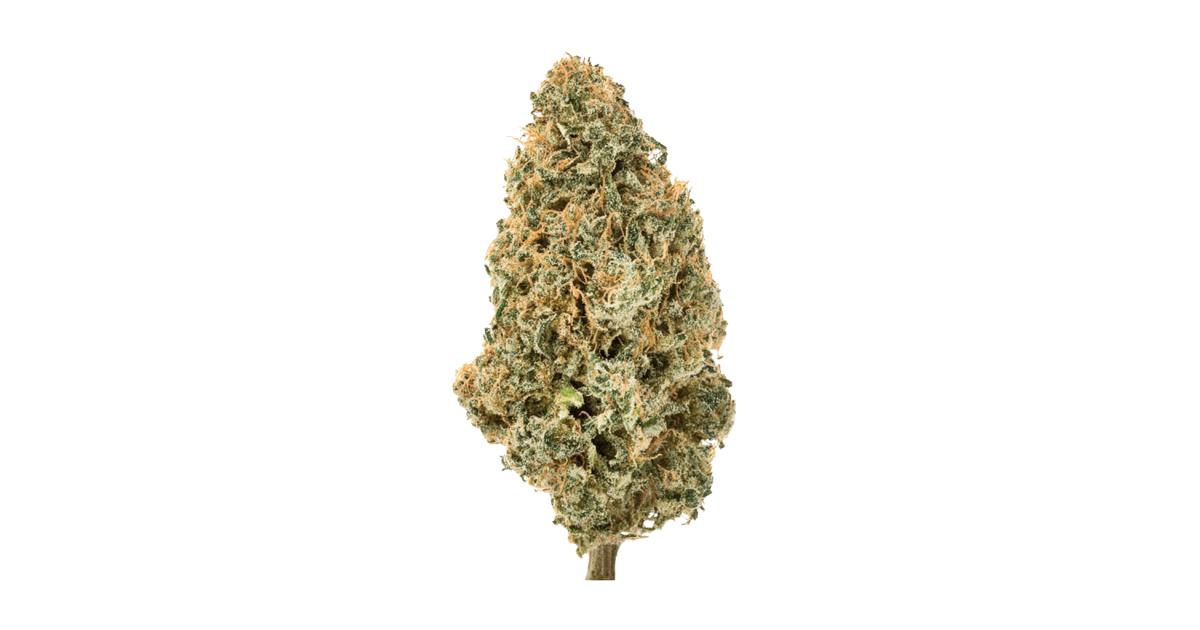 DJ Short Blueberry Cannabis Strain Information - GrowDiaries