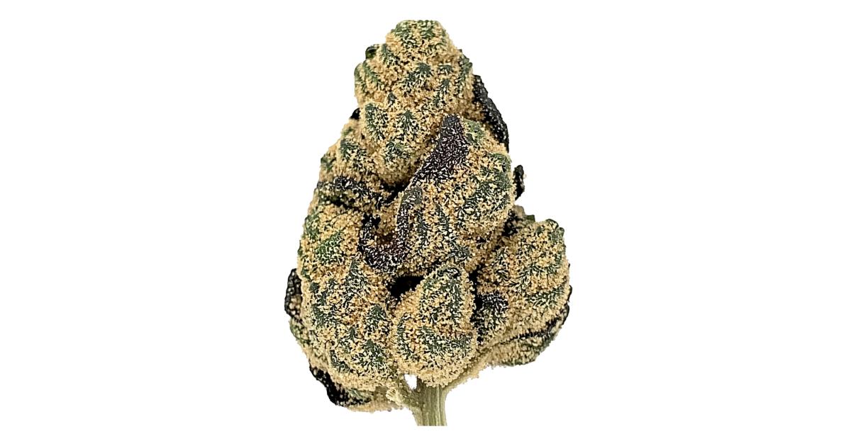 Lemon Sugar Cannabis Strain Information - GrowDiaries