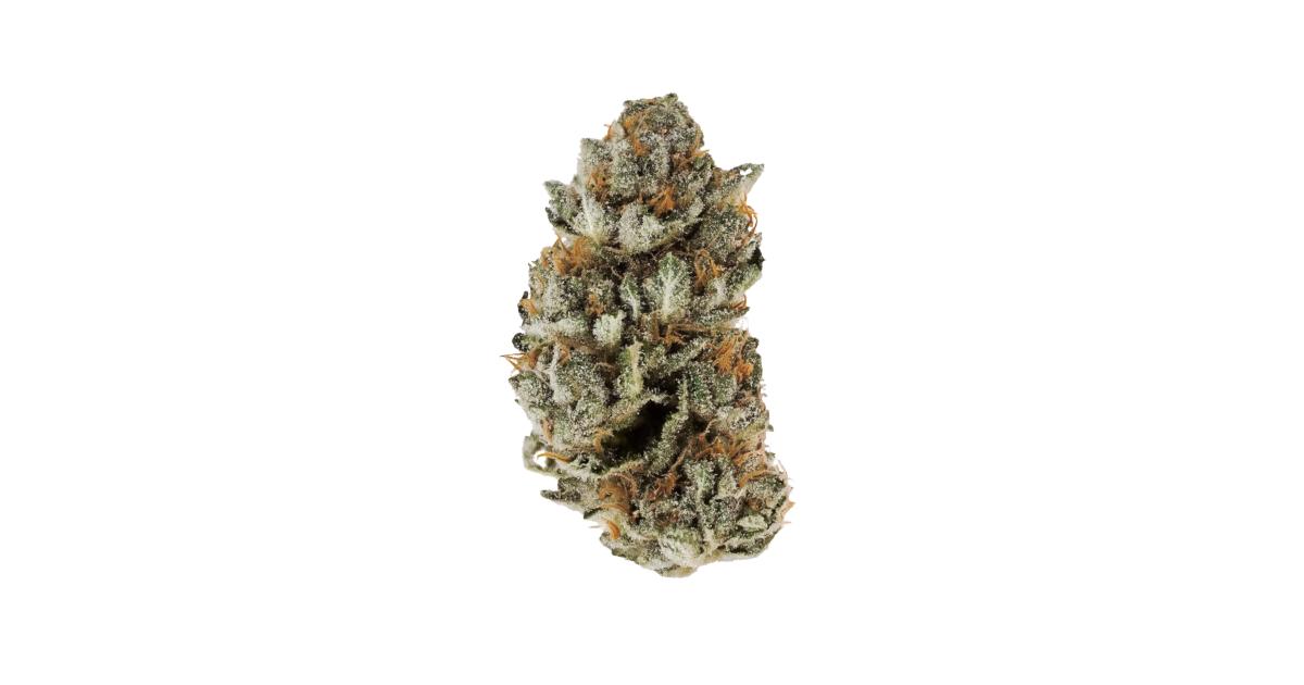 Pink Sherb Cannabis Strain Information - GrowDiaries