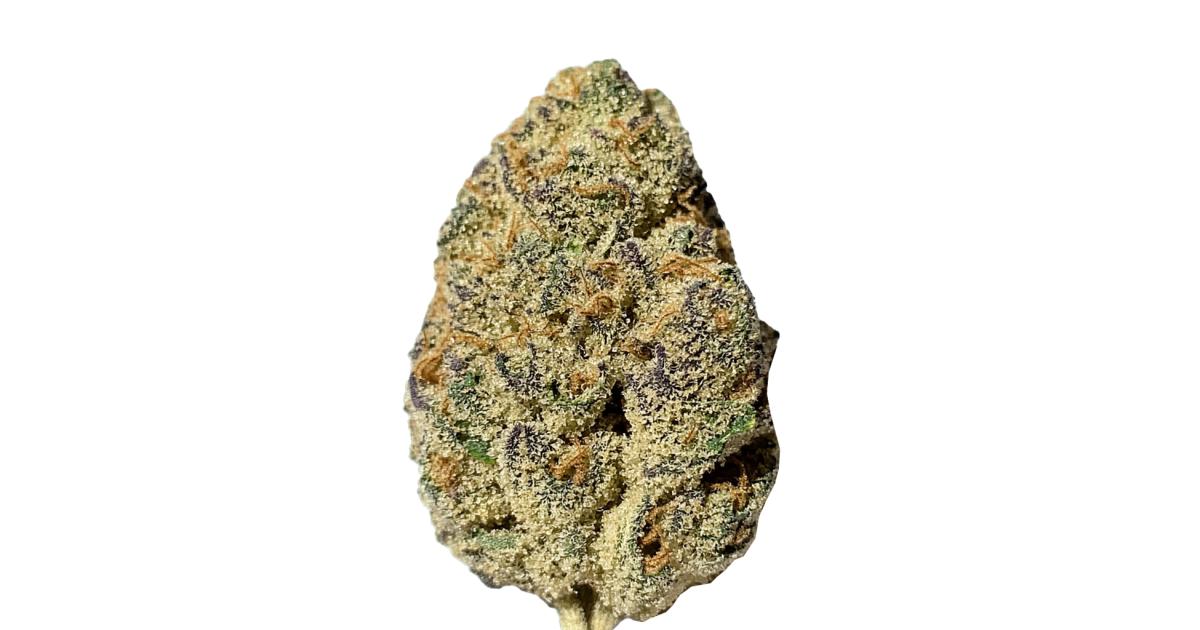 LA Baker Cannabis Strain Information - GrowDiaries
