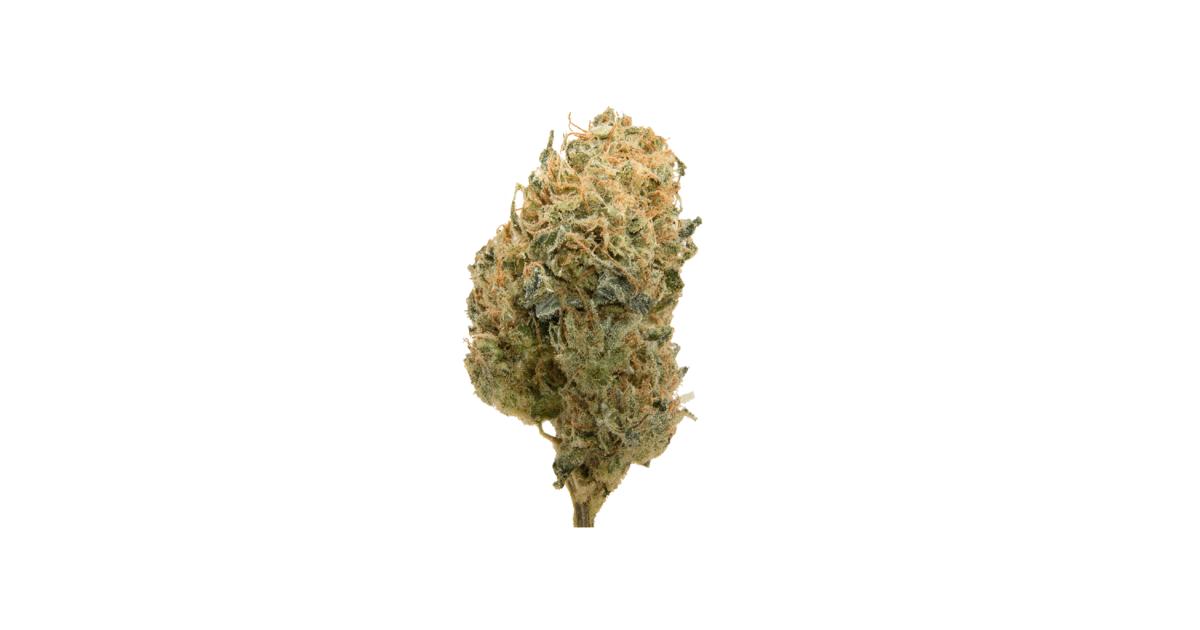 Blue Lotus Cannabis Strain Information - GrowDiaries