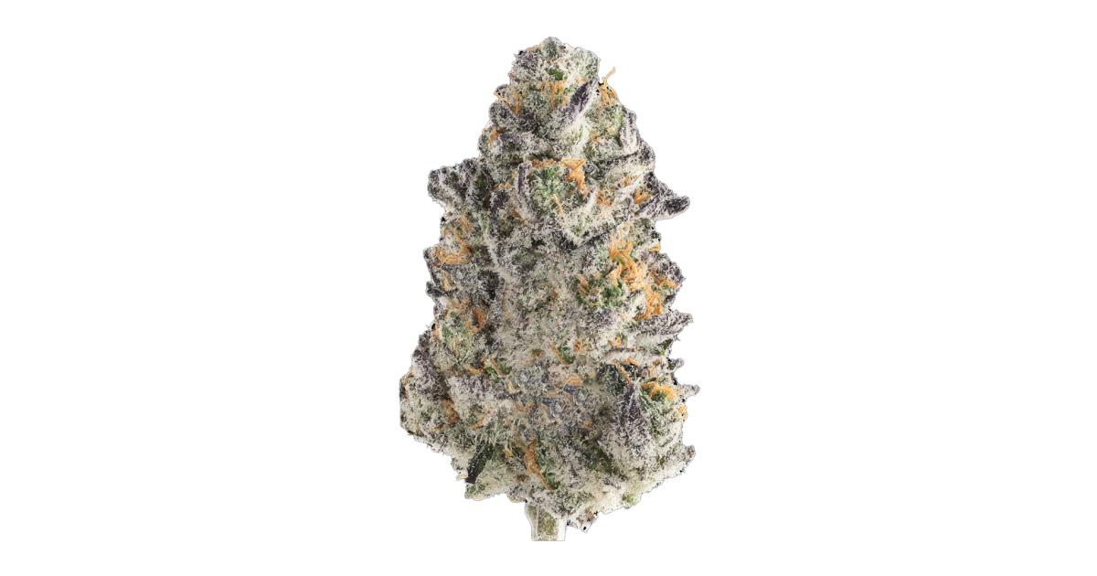 Crispy Sugar Cannabis Strain Information - GrowDiaries