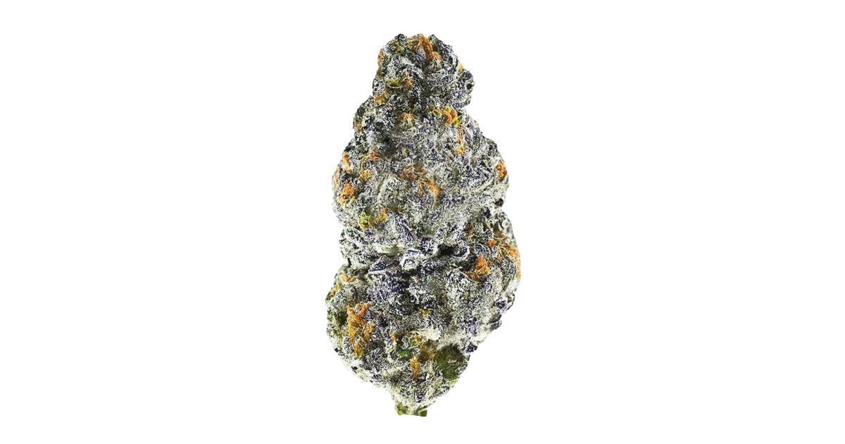 Black Cherry Gushers Cannabis Strain Information - GrowDi...