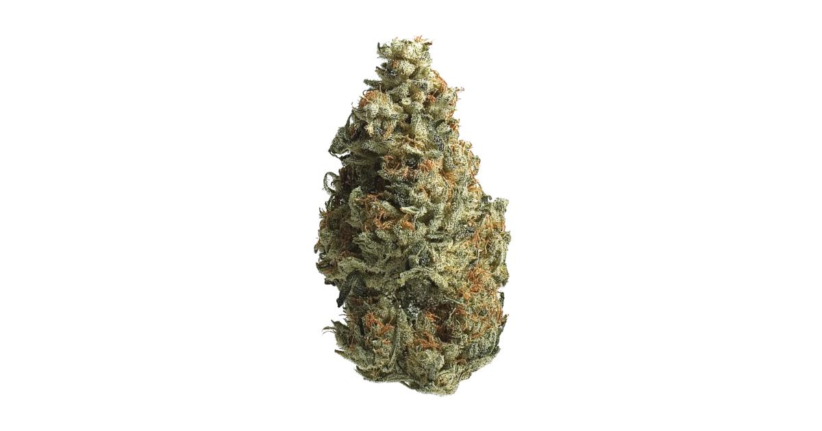 Banana Zkittlez Cannabis Strain Information - GrowDiaries