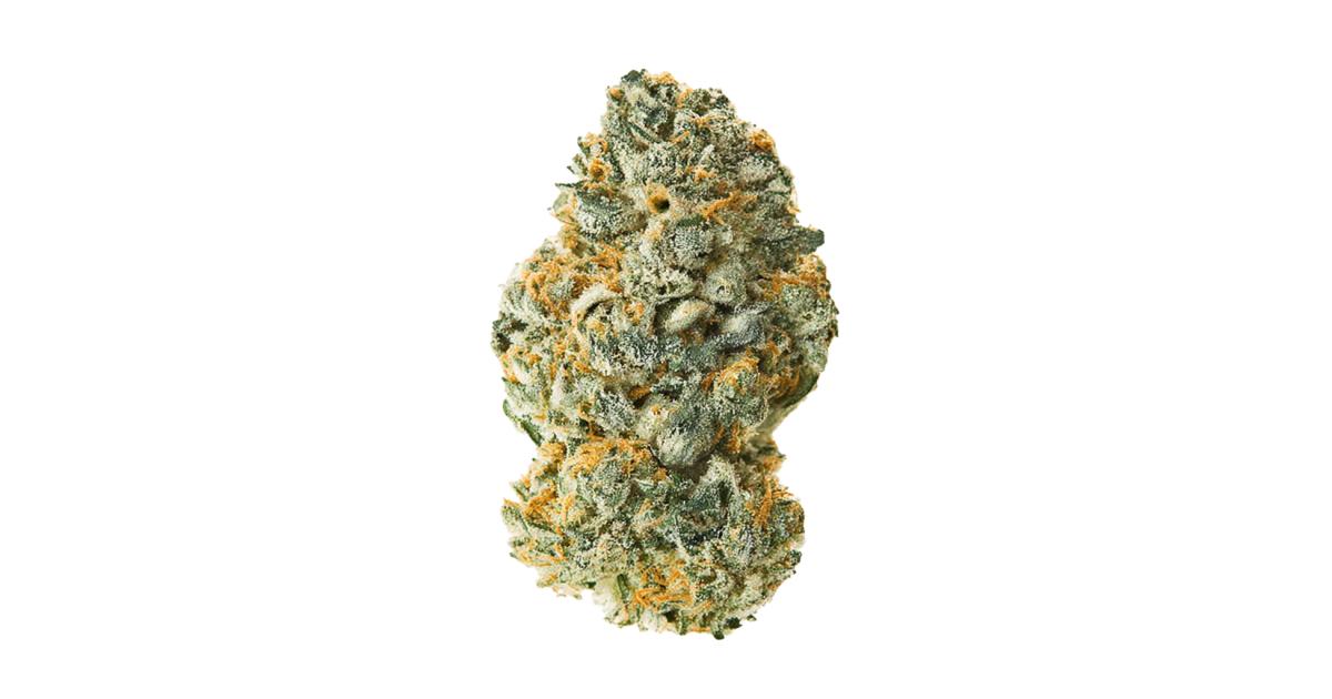 Berry Melono Cannabis Strain Information - GrowDiaries