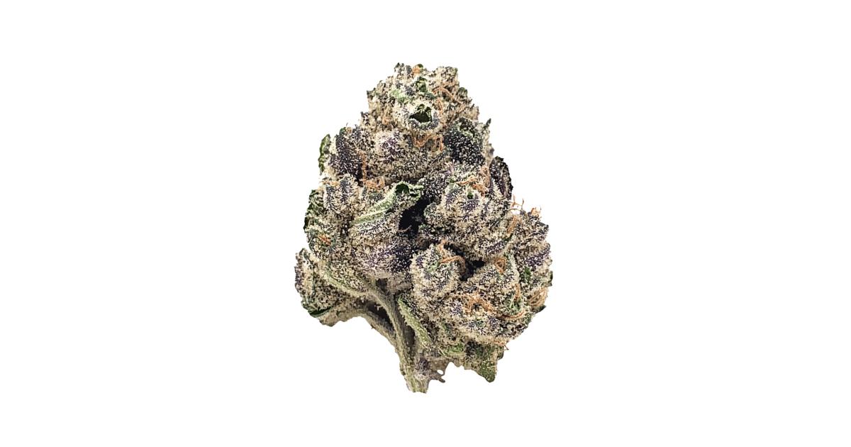 Amnesia Z Auto Cannabis Strain Information - GrowDiaries