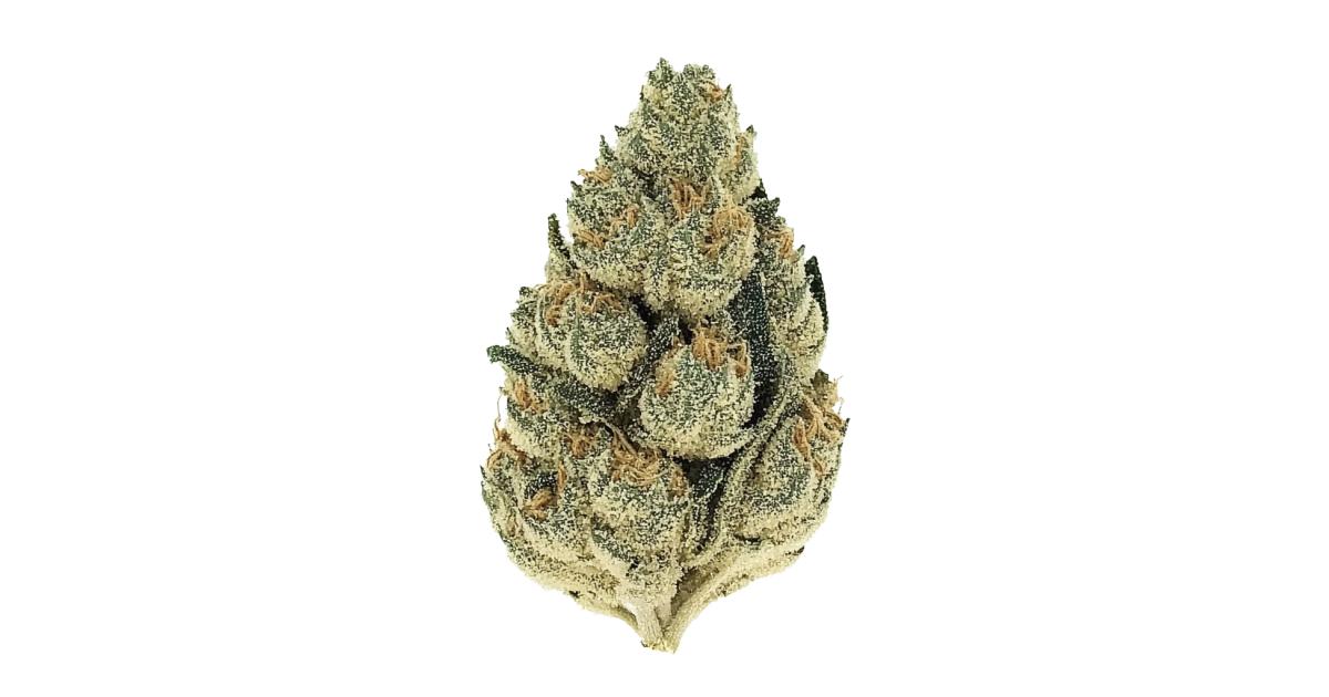 Black Hole Sun Cannabis Strain Information - GrowDiaries