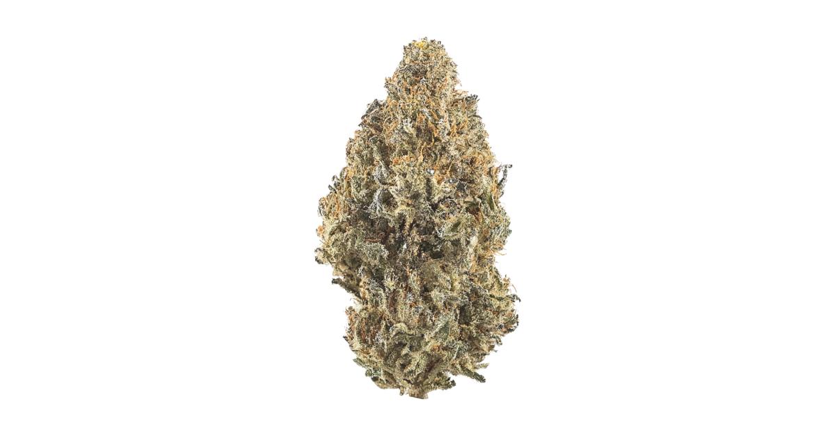 Wedding Sunset Cannabis Strain Information - GrowDiaries