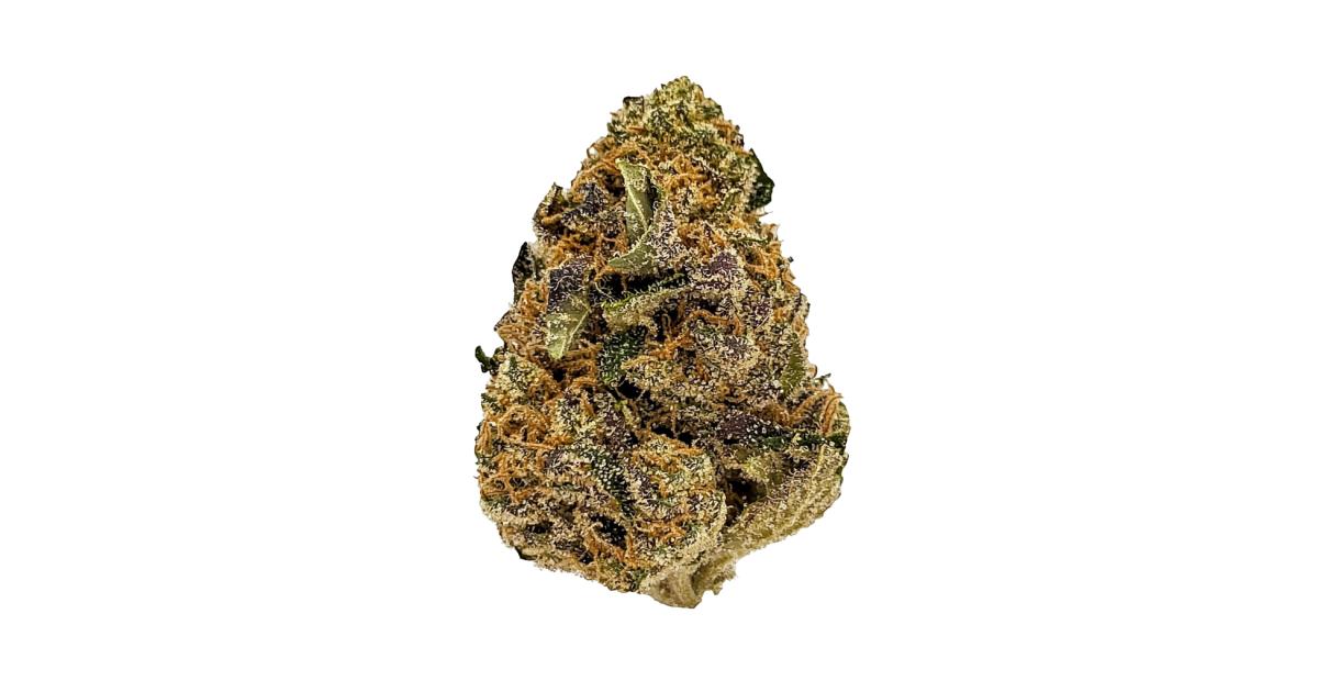 Apple Strudel Auto™ Cannabis Strain Information - GrowDiaries
