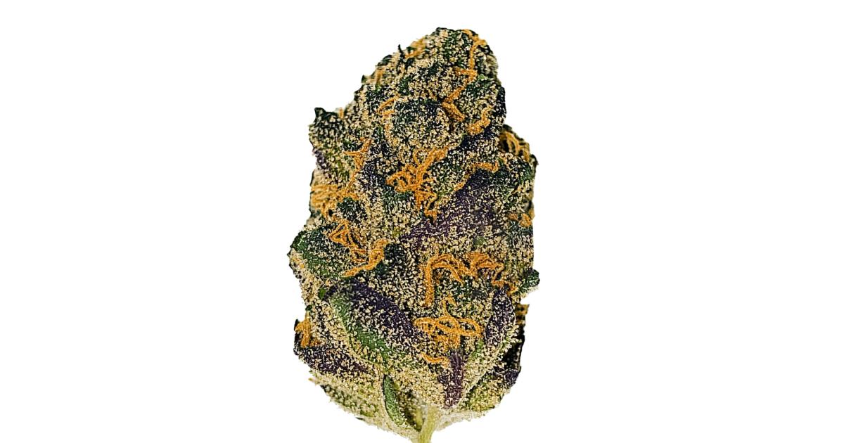 Chronic Cannabis Strain Information - GrowDiaries