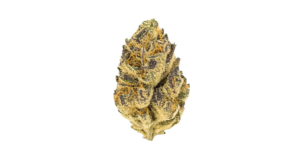 Gazzurple Cannabis Strain Information - GrowDiaries