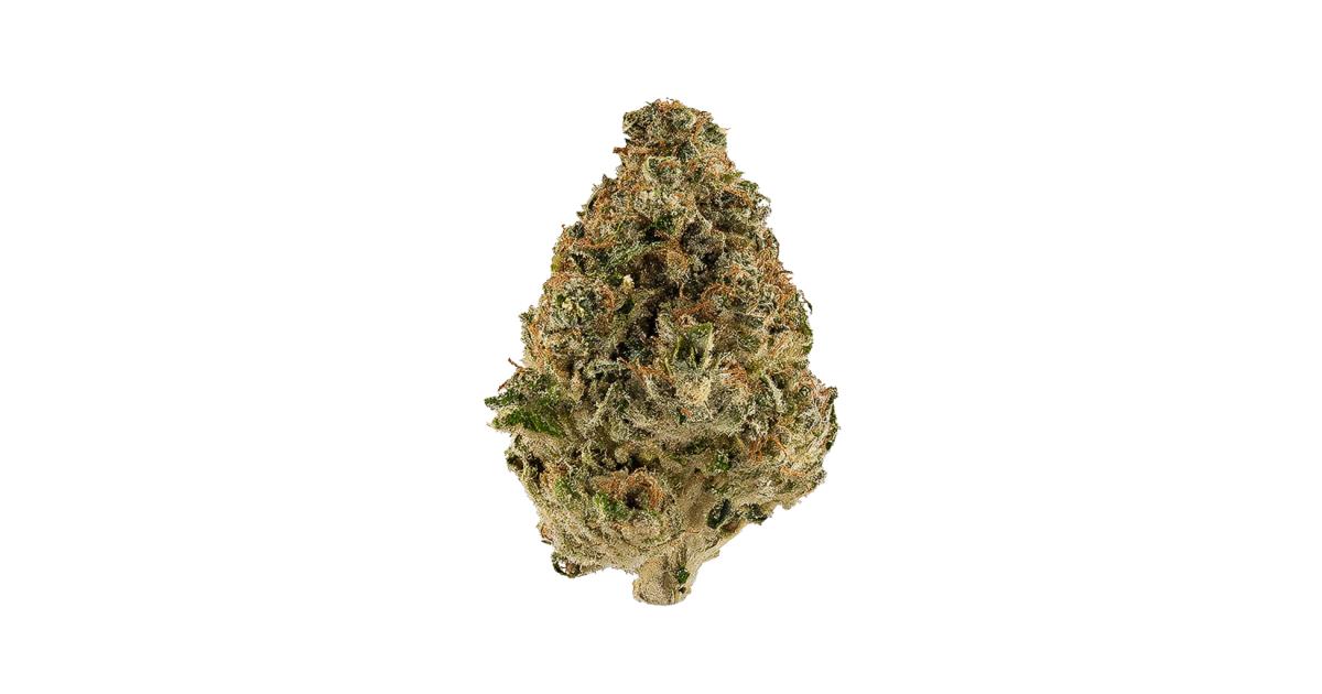 Chilled Cherries Cannabis Strain Information - GrowDiaries