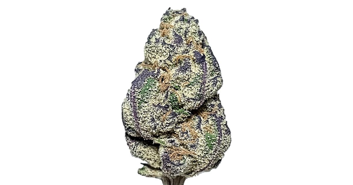 Bahama Mama Cannabis Strain Information - GrowDiaries