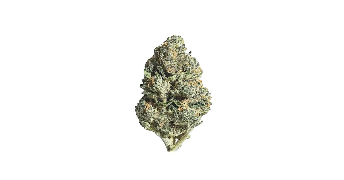 Moroccan Peaches Cannabis Strain Information - GrowDiaries