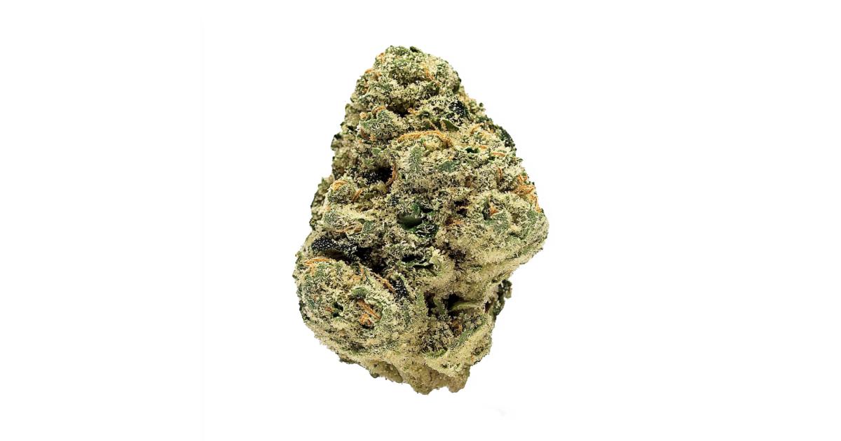 Mint Mango Cannabis Strain Information - GrowDiaries