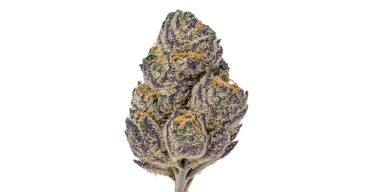 Galactic Gas Cannabis Strain Information - GrowDiaries