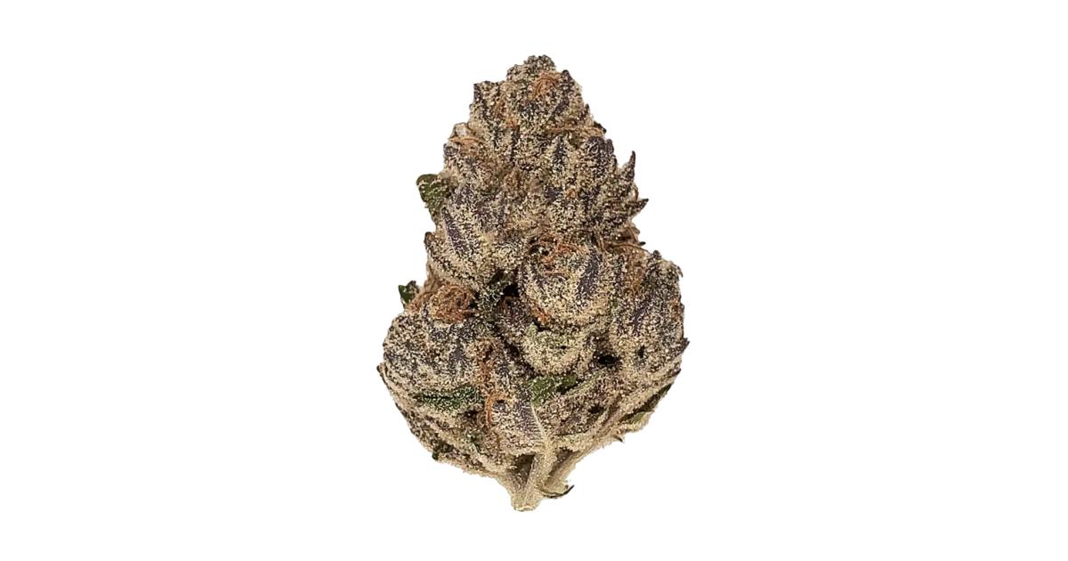Halle Berry Cannabis Strain Information - GrowDiaries