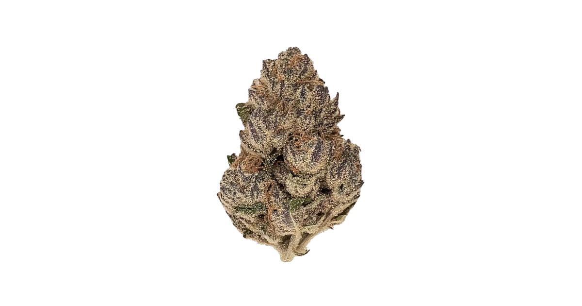 Halle Berry Cannabis Strain Information - GrowDiaries