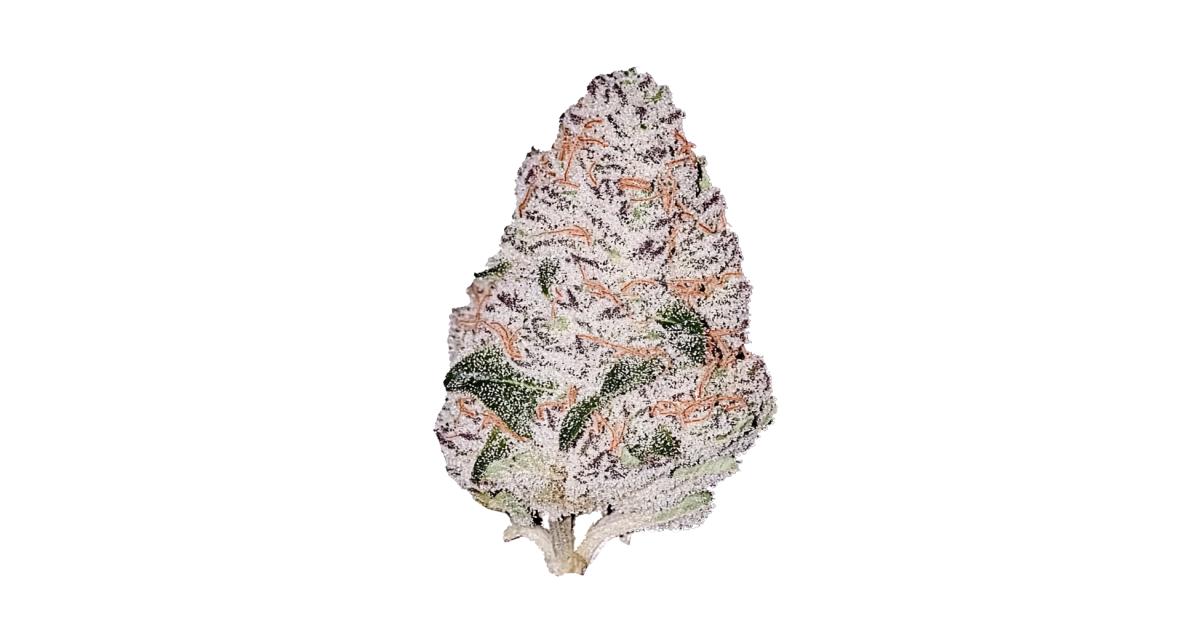 Strawberry Pie Auto Cannabis Strain Information - GrowDiaries